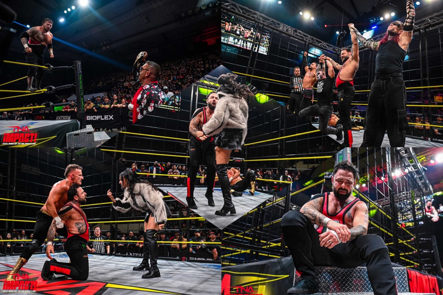 TNA iMPACT! Dec. 18th, 2025 Results and Recap: Bear Bronson Earns a ...